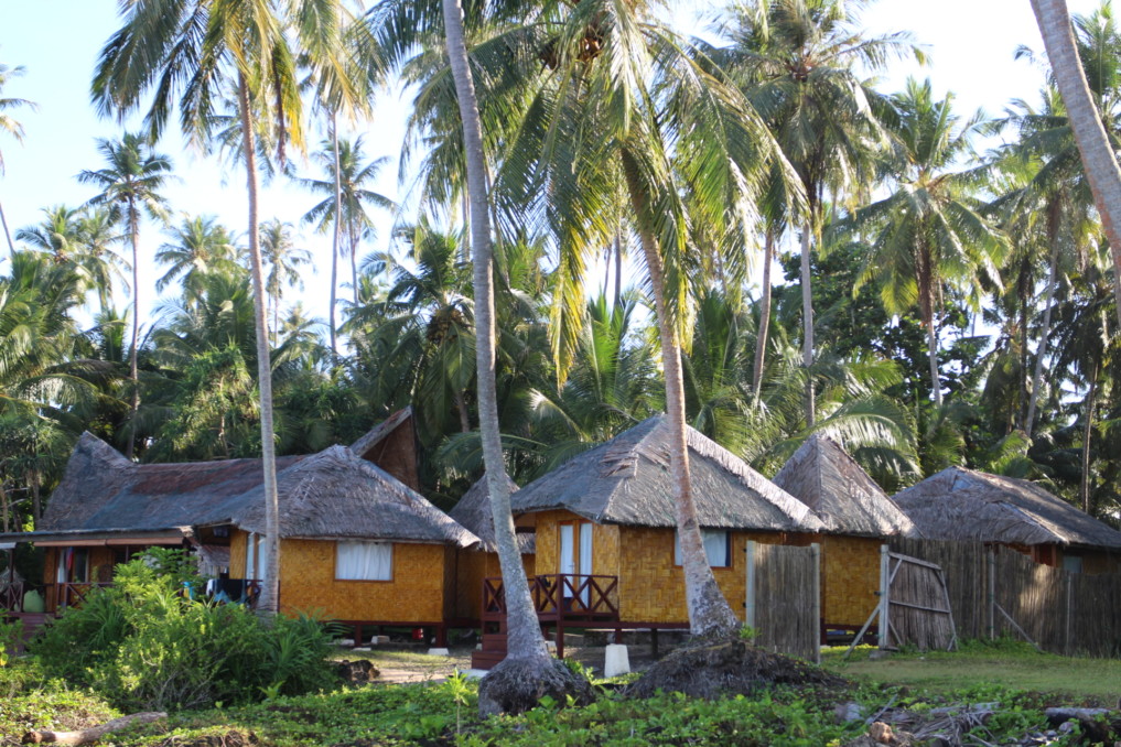 Symbiosis Village Vibes - Indojunkie Vibes