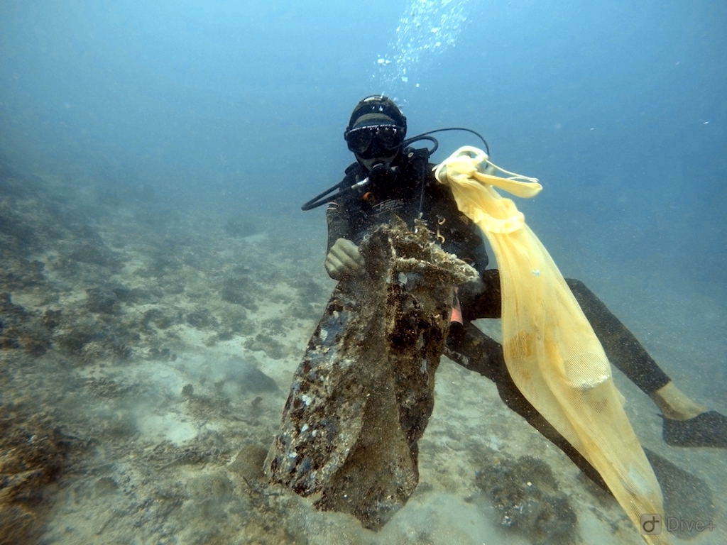 Gili Shark Conservation - Indojunkie Vibes